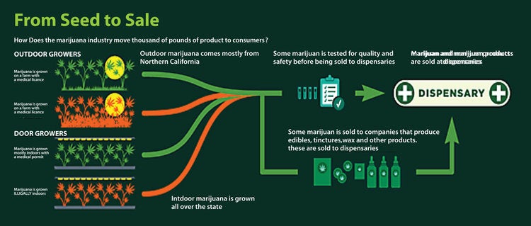 How They’re Using Blockchain in the Cannabis Supply Chain – Cannabis ...