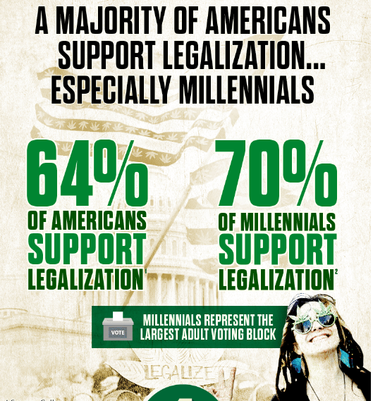 Why Support for Legislation is Growing – Cannabis Express New Zealand